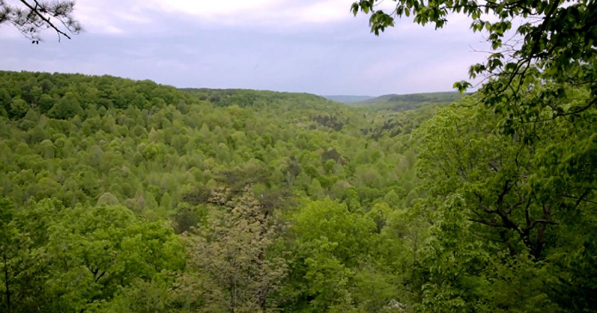 Tuscumbia - Visit Florence